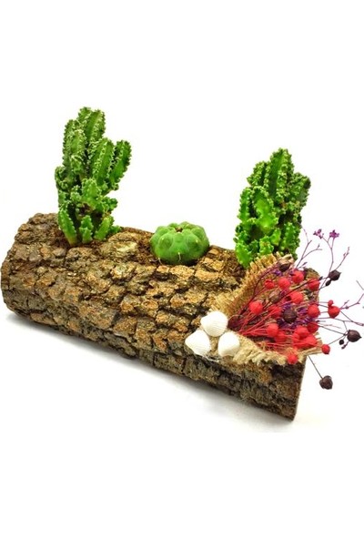 Modesign Kuru Çiçek Süslemeli 3'lü Kütük Saksıda Sukulent Kaktüs Modesign Kuru Çiçek Süslemeli 3'lü Kütük Saksıda Sukulent Kaktüs