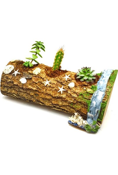 Modesign Şelale Efektli 3'lü Kütük Saksıda Sukulent Kaktüs