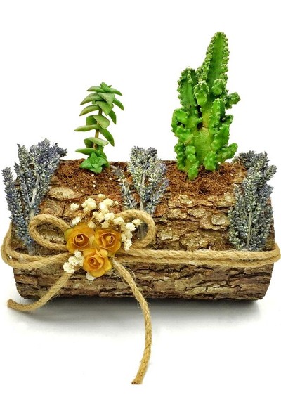 Modesign Halat Süslemeli 2'li Kütük Saksıda Sukulent Kaktüs