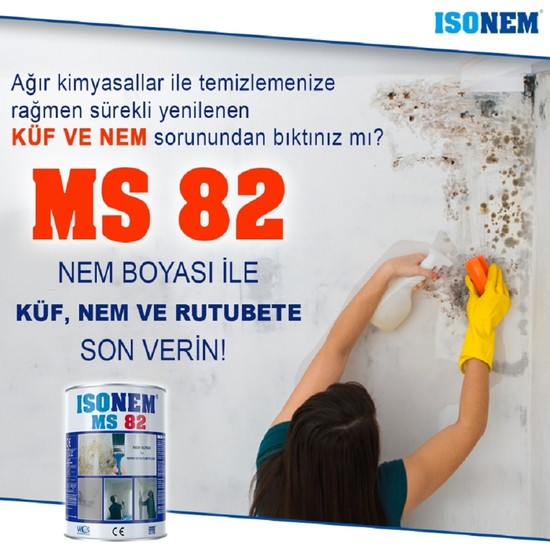 İsonem Ms 82 Nem ve Rutubet Küf Boyası + Izmir Fırça Epoksi Rulo 10 cm ...
