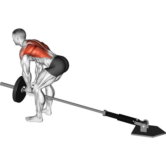 T-Bar Row Platform - T Bar Rowing Sabitleme Aparatı - Fiyatı