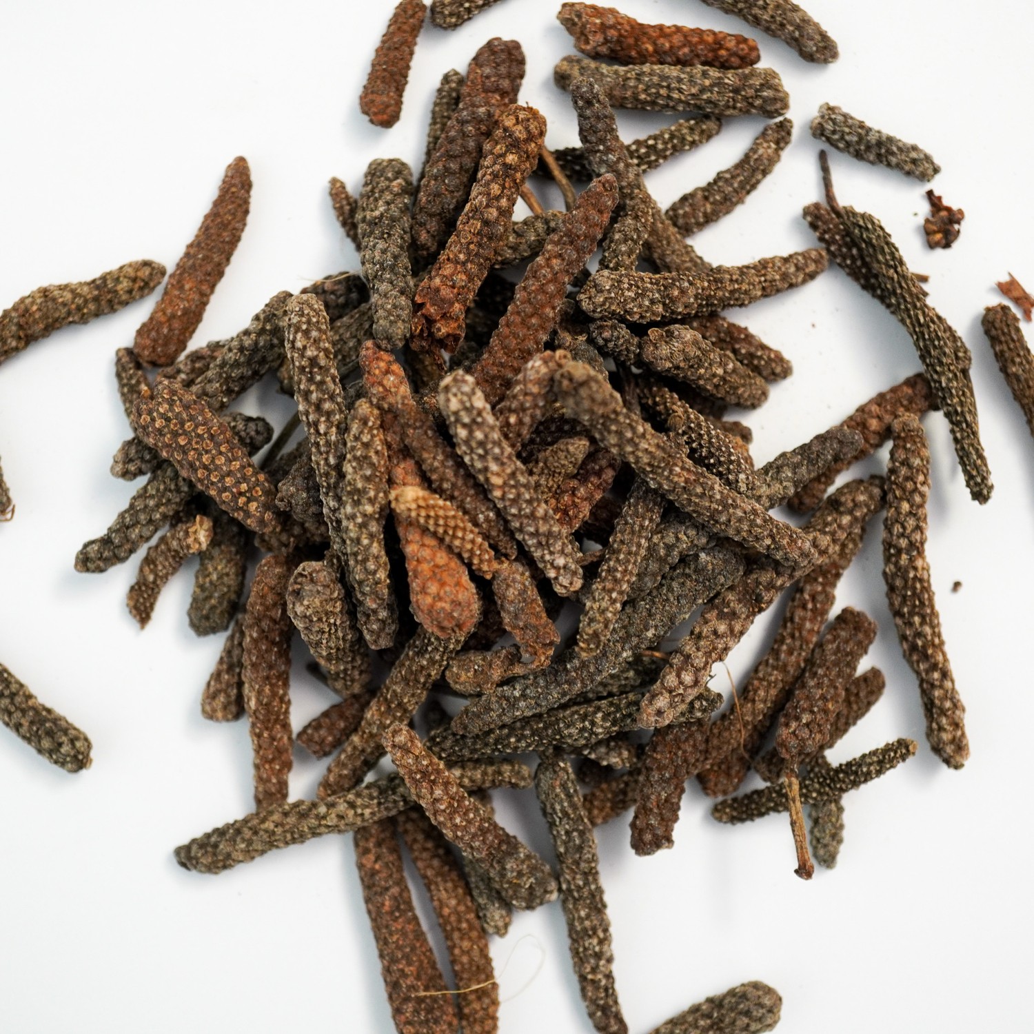 Modern Aktar Doğal DarülFülfül 100 gr Fiyatı - Taksit Seçenekleri