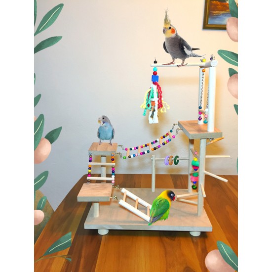 Ciko Kafes Masa Üstü Kuş Papağan Eğlenceli Oyun Alanı Fiyatı