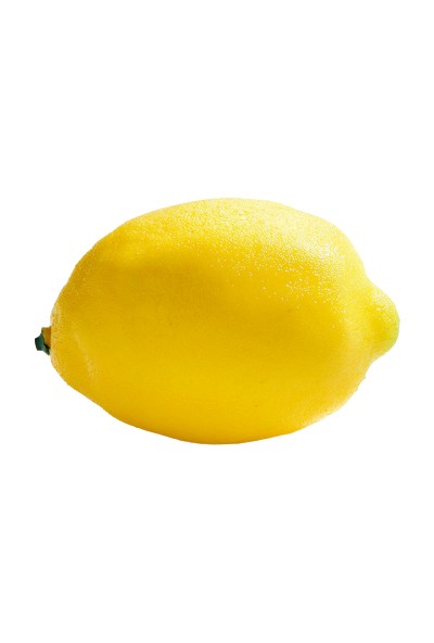 Nettenevime Yapay Meyve Sebze Limon Nettenevime Yapay Meyve Sebze Limon