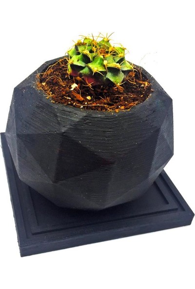 Modesign Geometrik Model Döküm Saksı Sukulent Kaktüs Modesign Geometrik Model Döküm Saksı Sukulent Kaktüs
