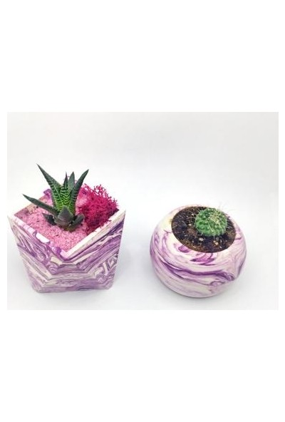 Modesign Ebruli Doküm 2'li Saksı Takımı Sukulent Kaktüs
