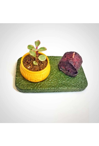 Modesign Mini Döküm Saksı Takımında Mumlu Sukulent Kaktüs