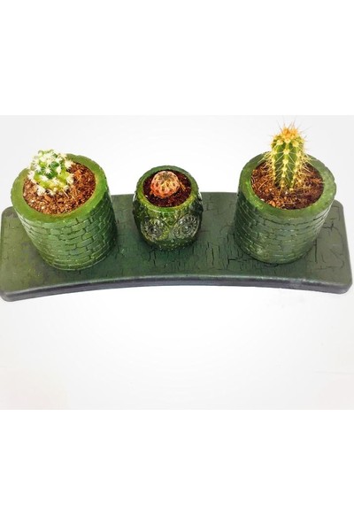 Modesign Tepside 3'lü Döküm Saksı Set Sukulent Kaktüs
