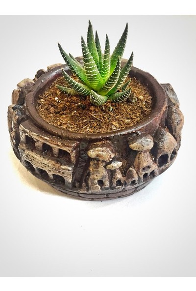 Modesign Kapadokya Model Döküm Saksıda Sukulent Kaktüs Modesign Kapadokya Model Döküm Saksıda Sukulent Kaktüs