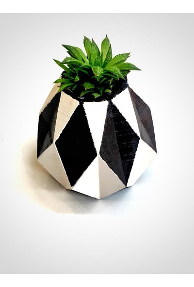 Modesign Geometrik Döküm Saksıda Sukulent Kaktüs