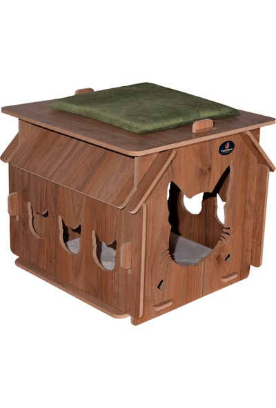 Patim House Demonte Kedi Evi