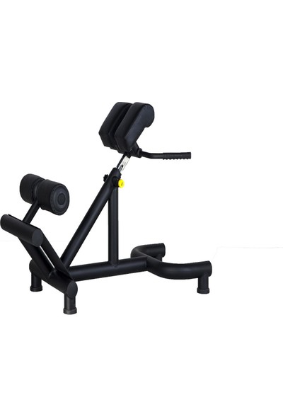 Prowellness Roman Chaır