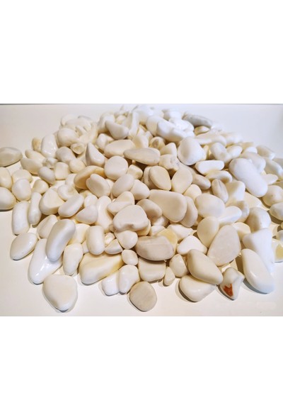 Dolomite Beyaz Dolomit Taş 1 kg 1,5 - 2,5 cm Akvaryum Çakıl Bahçe Terrarium Taşı