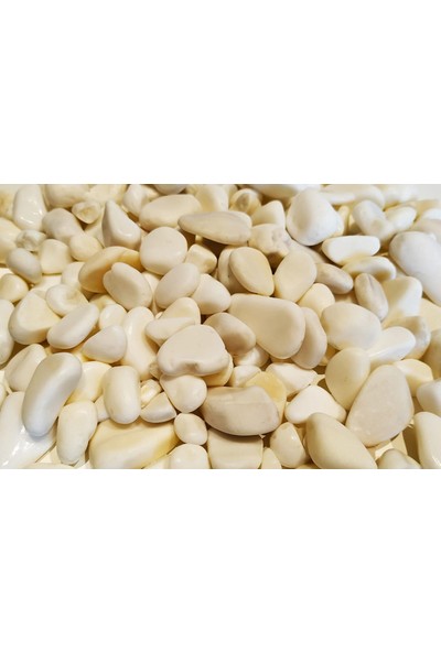 Dolomite Beyaz Dolomit Taş 5 kg 1,5 - 2,5 cm Akvaryum Çakıl Bahçe Terrarium Taşı