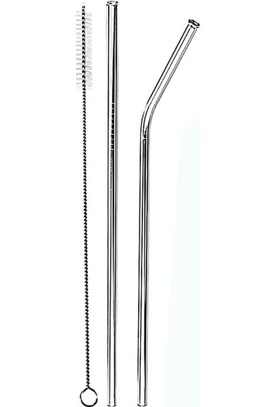 Positiveshop Paslanmaz 2'li Çelik Pipet ve Temizleme Fırçası