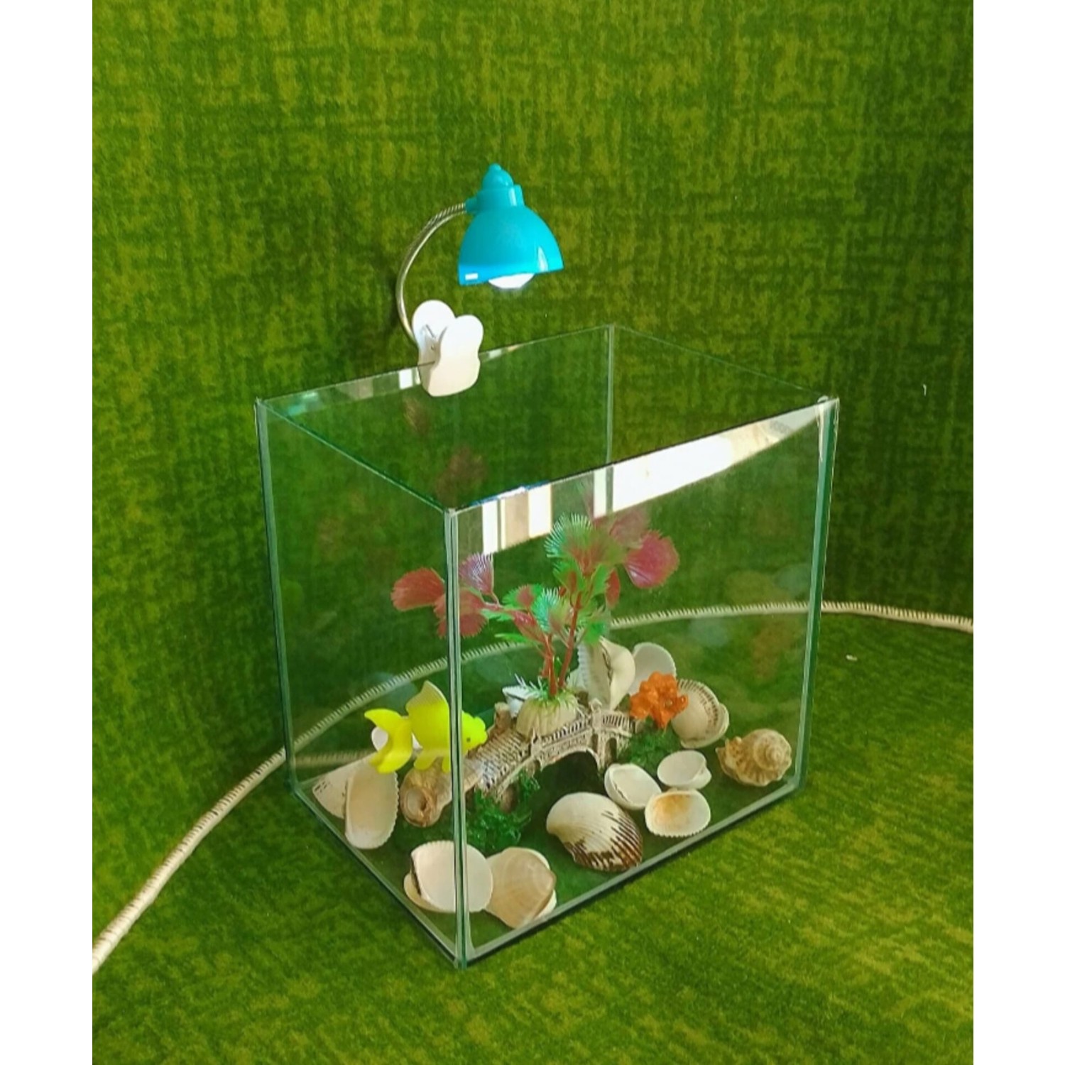 Beta Full Cam Fanus Akvaryum (Mini Ledli ve Fiyatı