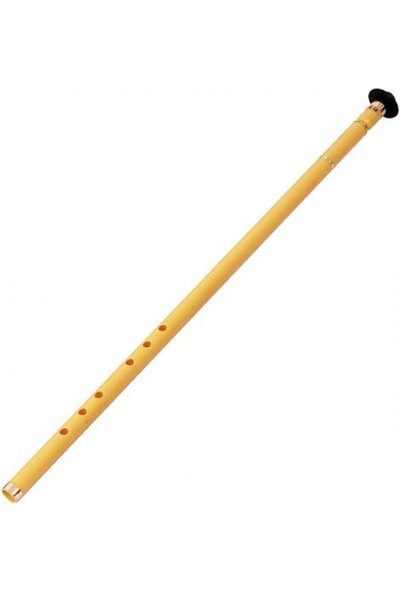 Ney Öğrenci KIZ / Si NPSIYL