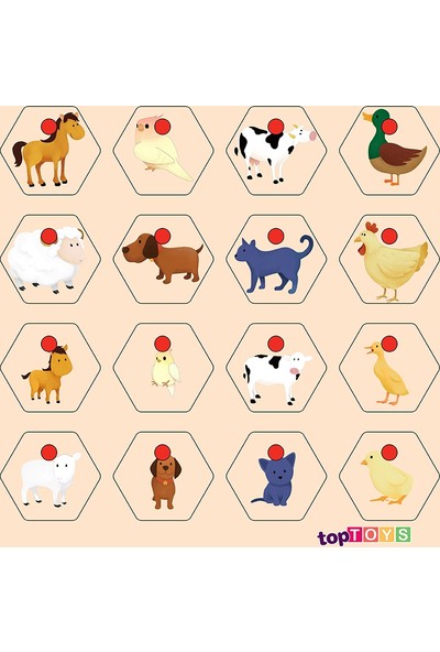 Eco Shop Hayvanlar Ve Yavruları Eco Shop Hayvanlar Ve Yavruları