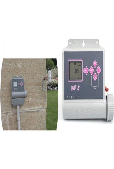 RainBrid WP2 Kontrol Ünitesi
