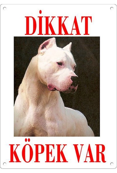 Dikkat Köpek Var Uyari Levhasi (Renkli Dogo Argentino)