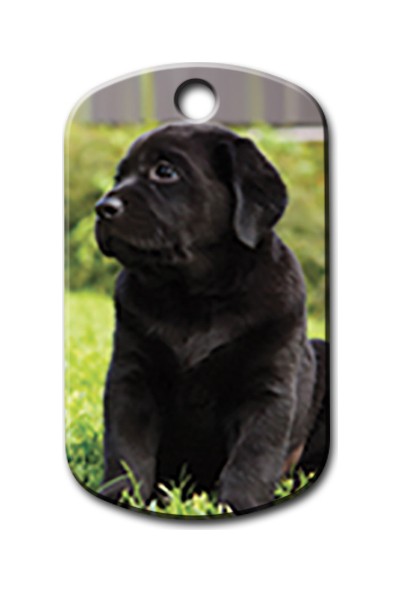 Dalis Pet Tag - Siyah Labrador Resimli Köpek Künyesi