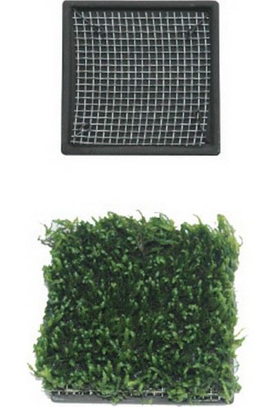 Ista Bitki Izgarası 5 Cm (Kare)