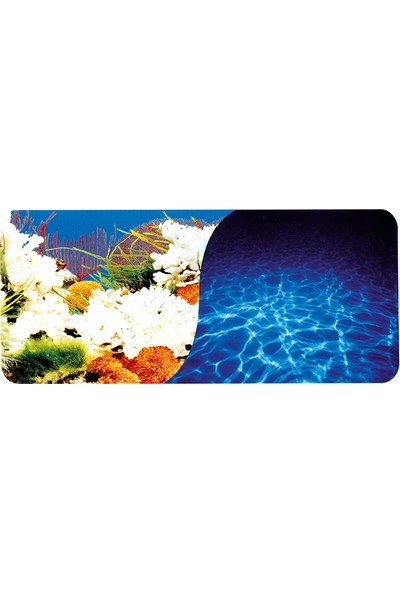Chicos Akvaryum İçin Dekoratif Mercan-Deniz Plastik Poster 70 Cm Chicos Akvaryum İçin Dekoratif Mercan-Deniz Plastik Poster 70 Cm