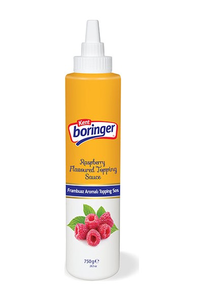 Kent Boringer franbuaz Dondurma Sosu 750 Gr Kent Boringer franbuaz Dondurma Sosu 750 Gr