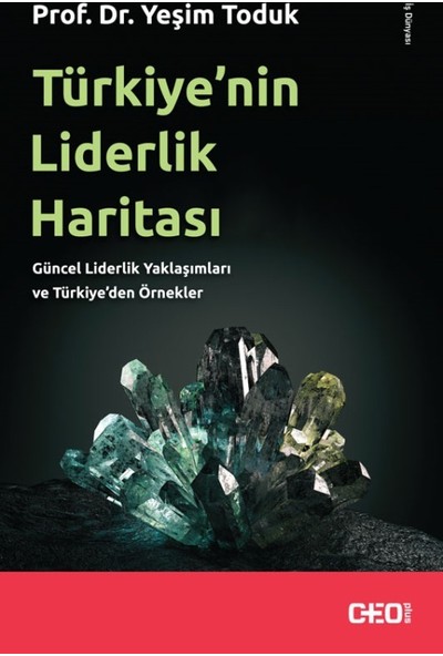 Türkiye’nin Liderlik Haritası Türkiye’nin Liderlik Haritası
