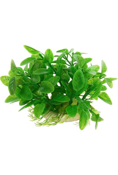 Xiongfa Plastik Bitki 8 Cm Xiongfa Plastik Bitki 8 Cm