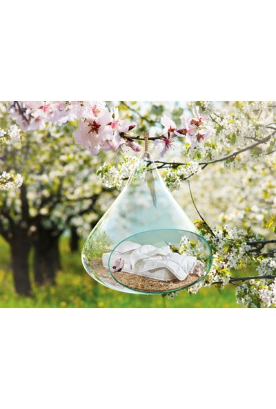 Hibboux Botanic Pocket Yaylı Bebek Yatağı 70 x 130 cm- Koşulsuz 100 Gün Deneme Süresi Hibboux Botanic Pocket Yaylı Bebek Yatağı 70 x 130 cm- Koşulsuz 100 Gün Deneme Süresi