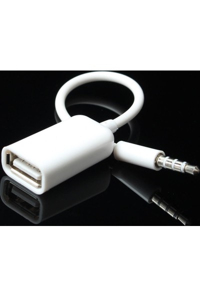 Simoni Racing AUX Dişi USB Giriş OTG Kablosu 422120