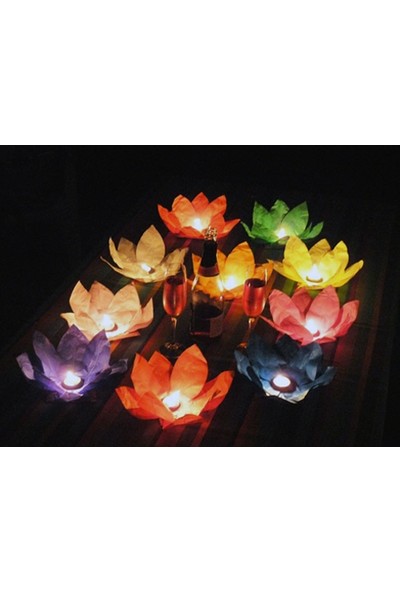 Wildlebend Nilüfer (Çiçek) Su Feneri (5 Adet)