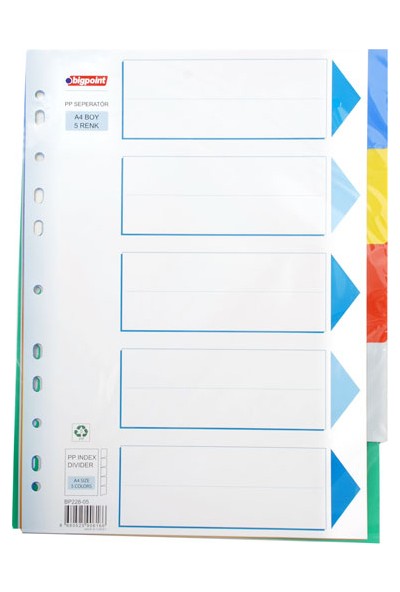 Bigpoint A4 Boy 5 Renk Seperatör