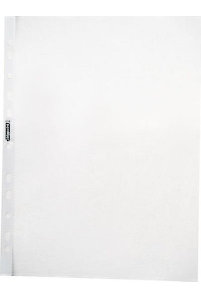 Bigpoint 292 Poşet Dosya Extra 50 Micron 100'Lü Paket