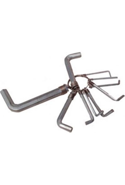 Wildlebend Allen Anahtar Takım Altı Köşeli 10 Parça Alyan Wildlebend Allen Anahtar Takım Altı Köşeli 10 Parça Alyan