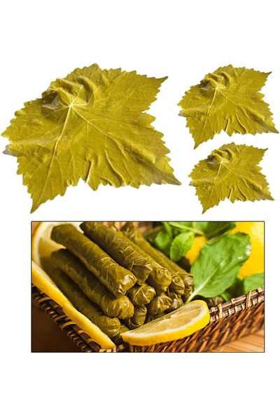 Ekotaze Tokat Erbaa Asma Bağ Yaprağı Vakum 500 gr Ekotaze Tokat Erbaa Asma Bağ Yaprağı Vakum 500 gr