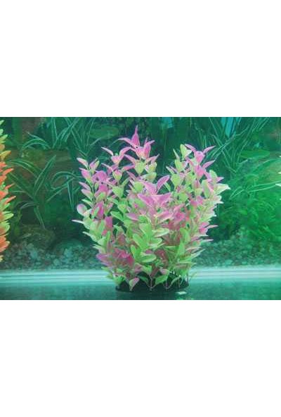 Langhu Plastik Bitki 25-28 Cm