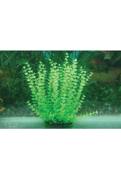 Langhu Plastik Bitki 27-30 Cm