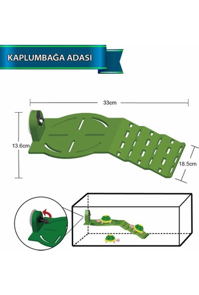 Dophin Dolphin Kaplumbağa Adası