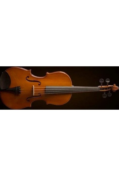 Valencia Va16040 Viola Sunburst Kutulu 15 5''