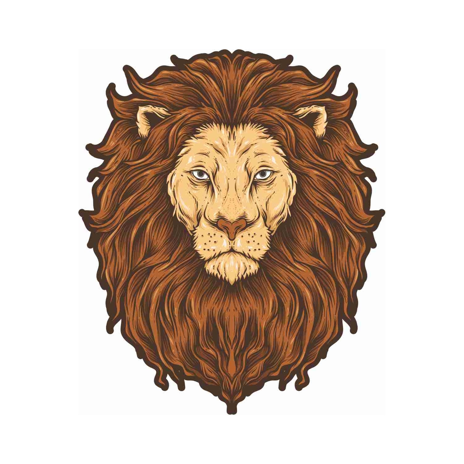 Sticker Atölyesi Aslan Sticker - 17080 Renkli 10 x 12 cm Fiyatı