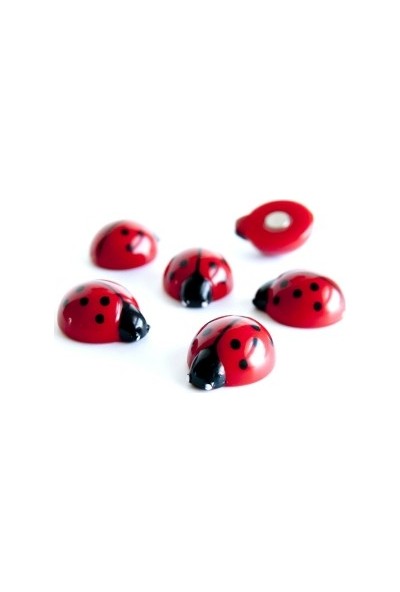 Trendform Buzdolabı Mıknatısı Ugur Böceği