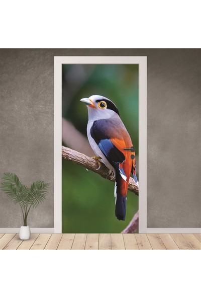 Hediyeci Dükkanım Hayvan Karakterleri Kapı Giydirme 30