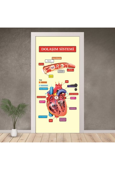 Hediyeci Dükkanım Biyoloji Kapı Giydirme 17