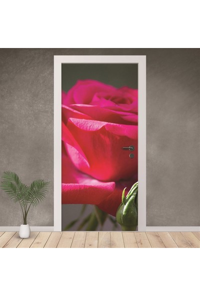 Hediyeci Dükkanım Obje Kapı Giydirme 17