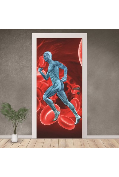 Hediyeci Dükkanım Sağlık Kapı Giydirme 41