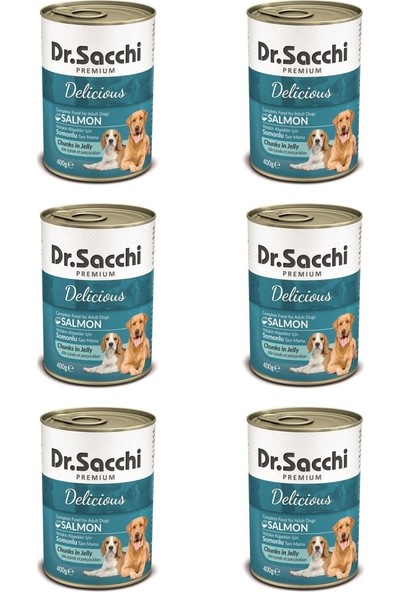 Dr.sacchi Konserve Köpek Somonlu 400 gr x 6 Adet