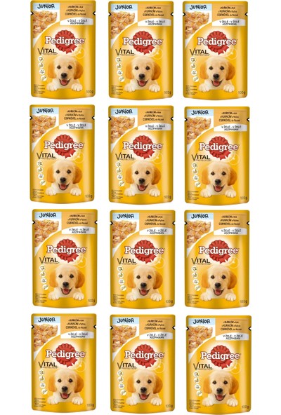 Pedigree Junior Tavuk Etli Yavru Köpek Yaş Maması 100 gr X12 Adet Pedigree Junior Tavuk Etli Yavru Köpek Yaş Maması 100 gr X12 Adet
