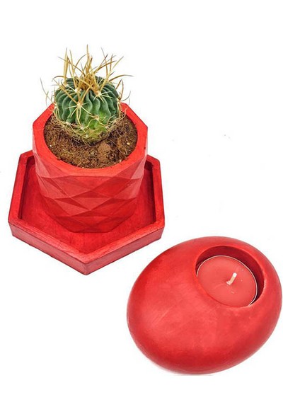 Modesign Dekoratif Saksıda Mumluklu Sukulent - Kaktüs